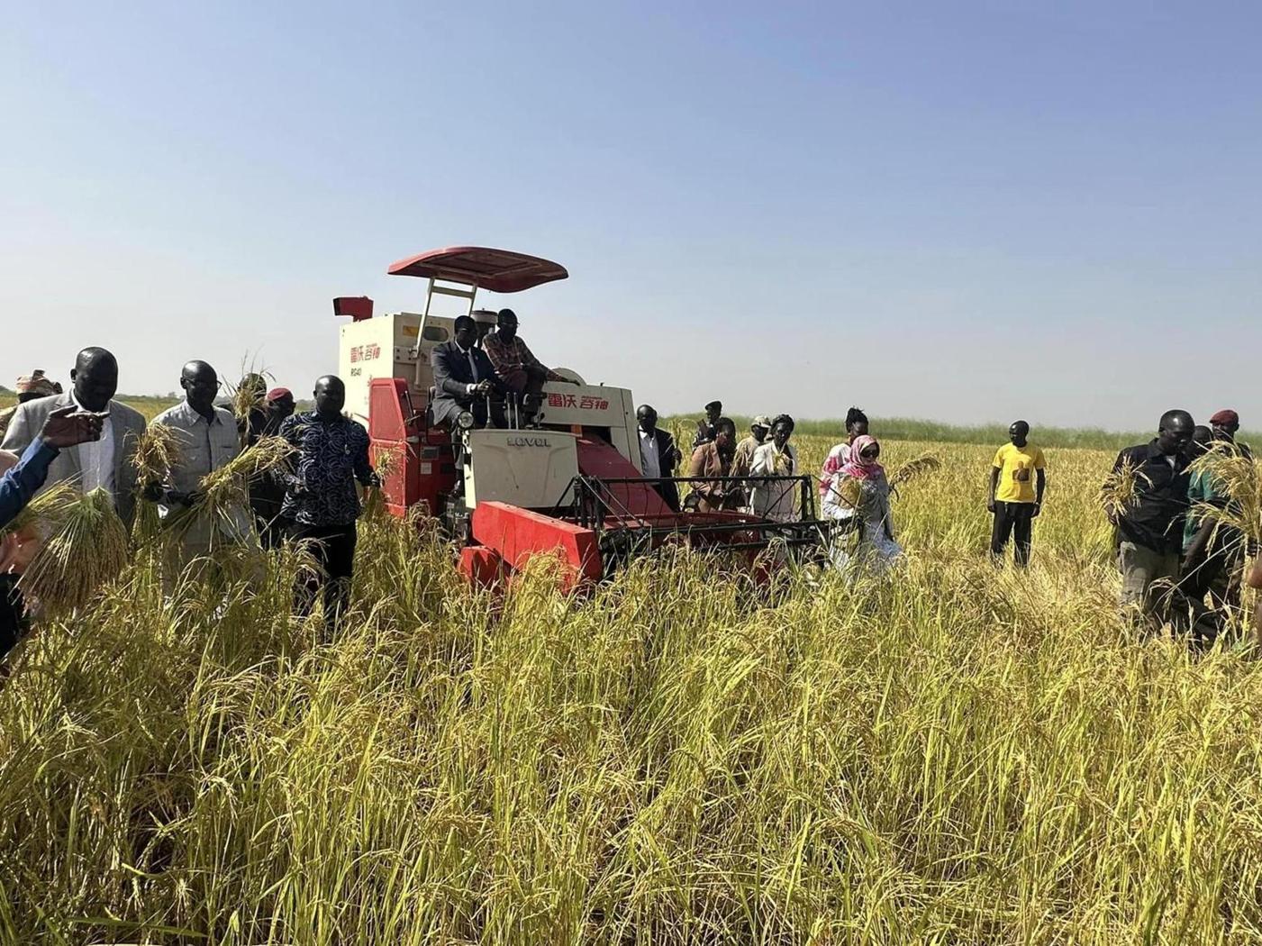 NBGs harvests 500-hectare of rice at Aweil Rice Scheme - South Sudan