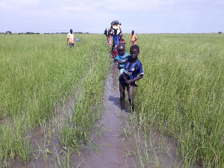 1300 displaced by flooding in Leer County - South Sudan