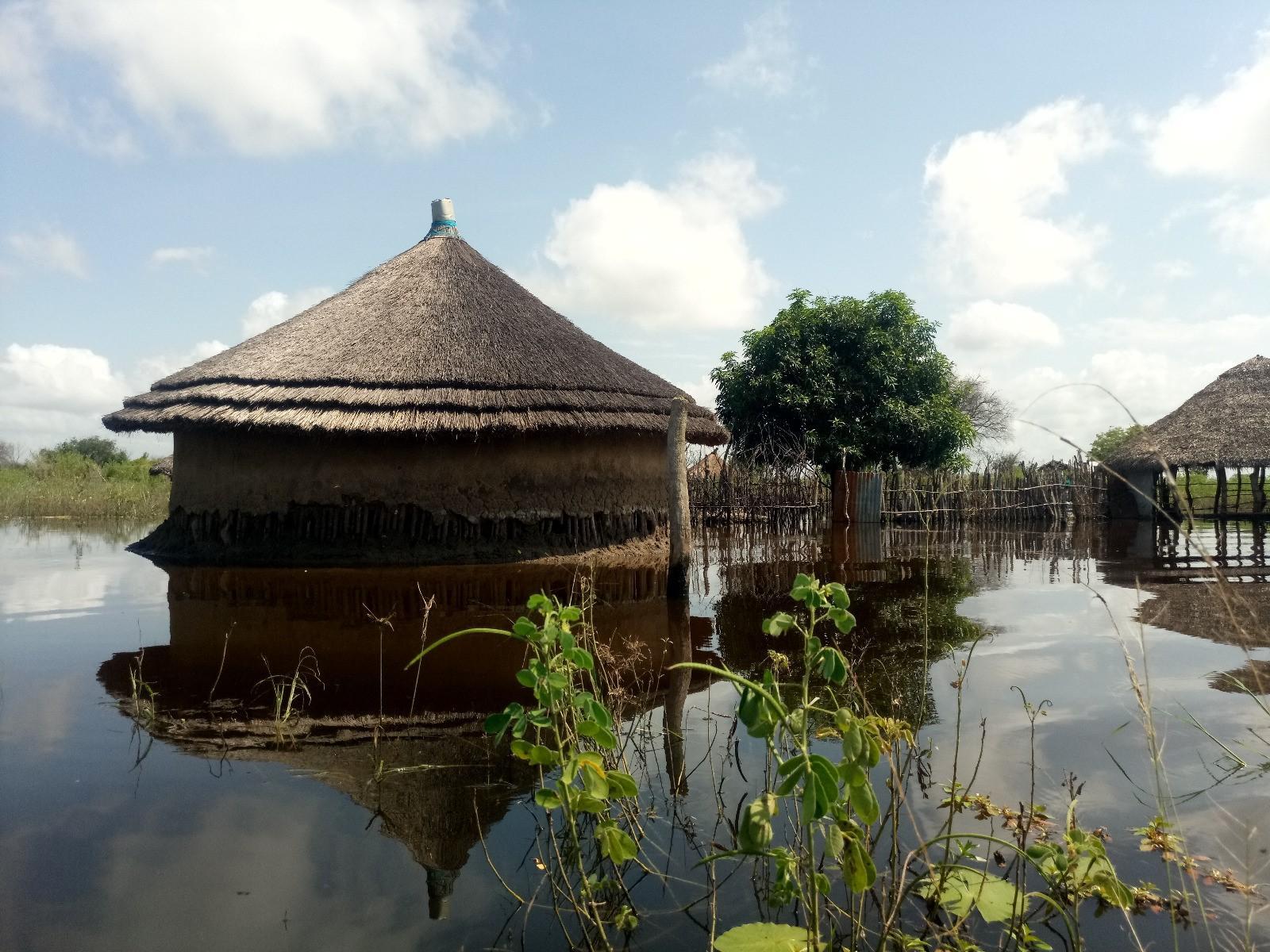 Hydromet stations indicate high risk of flooding in Jonglei, Upper Nile ...