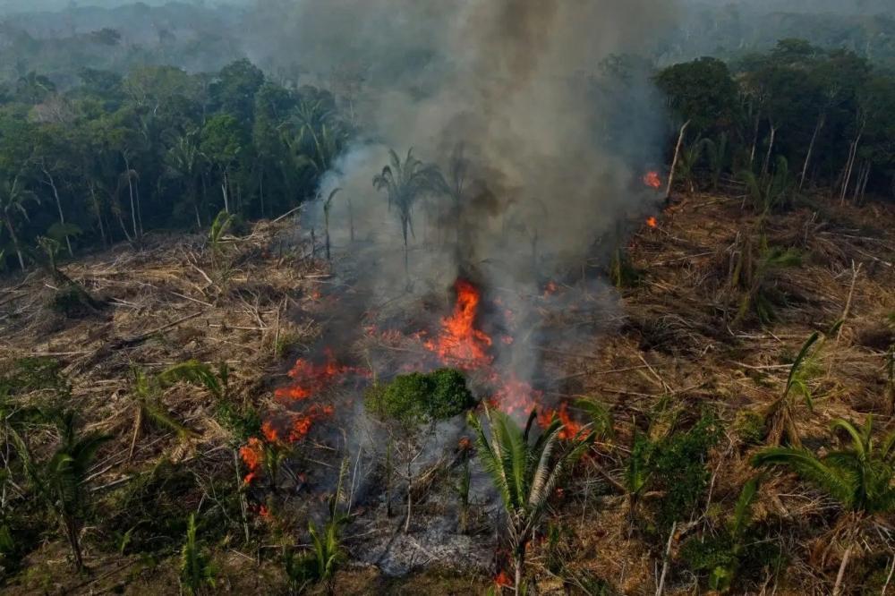 Deforestation driving up Africa’s temperatures, study shows - South Sudan