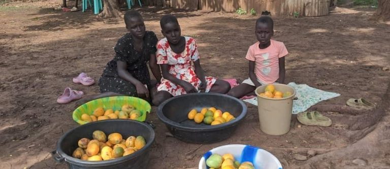 Open Letter to Hon. Adut Salva on Anyuak Community Issues - South Sudan