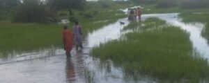 Flooding displaces more than 15,000 in Twic East County - South Sudan