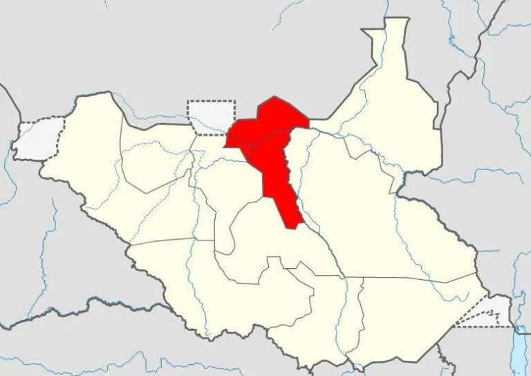 SSPDF Releases Seven SPLA-IO Officers in Unity State - South Sudan