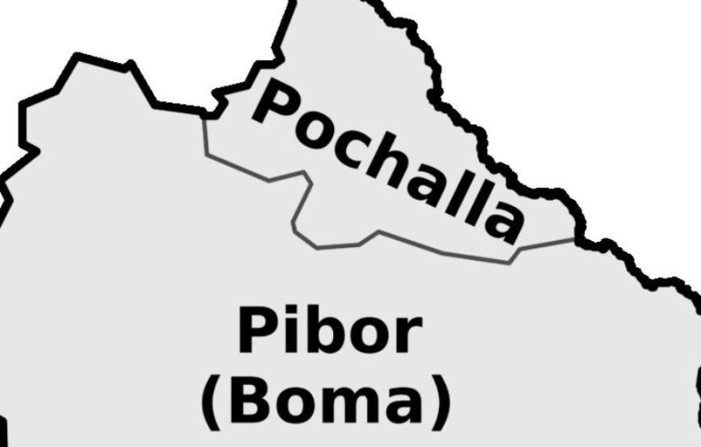 Greater Pibor Launches Commissioners Forum for Local Institutions ...