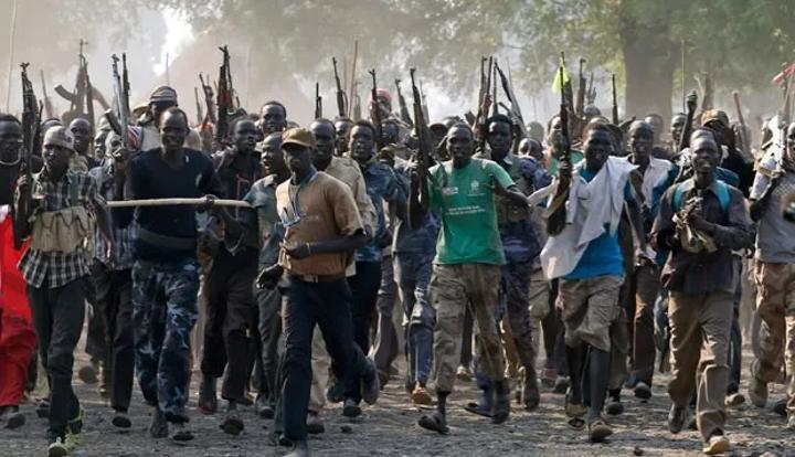 White Army Claims Major Weapons Seizure in Jikmir Battle - South Sudan