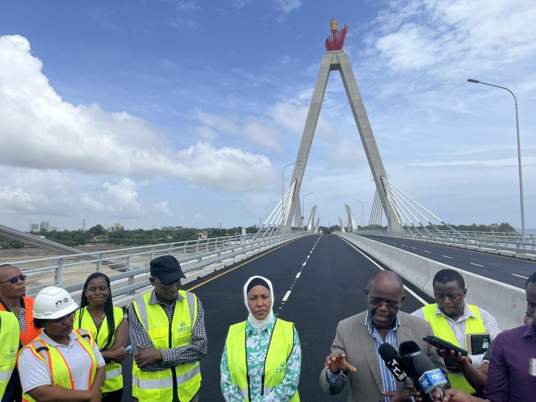 Tanzanite Bridge to be open for use Feb 1 - Tanzania