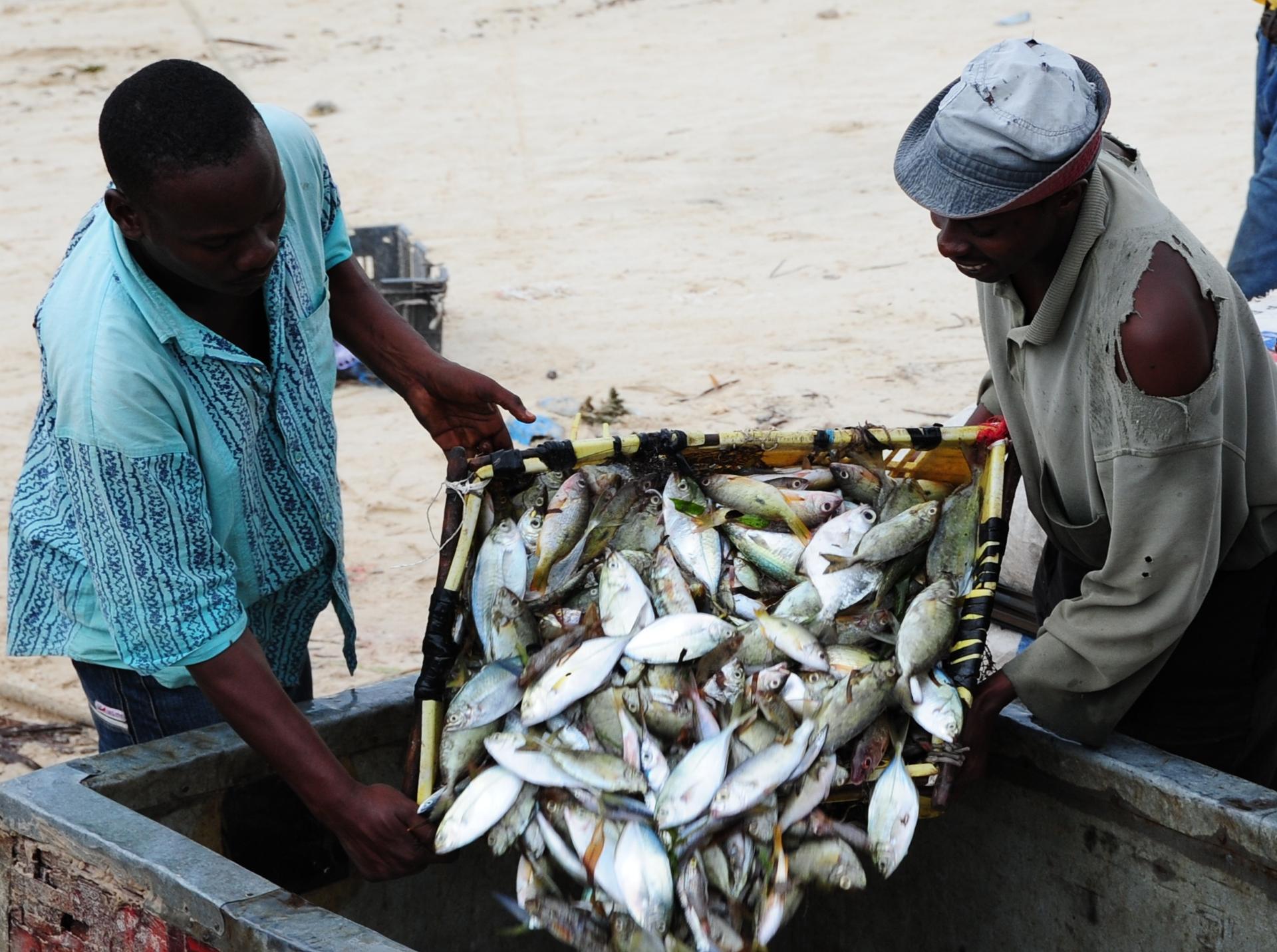 450m/- spent to develop sustainable small scale fishing - Tanzania