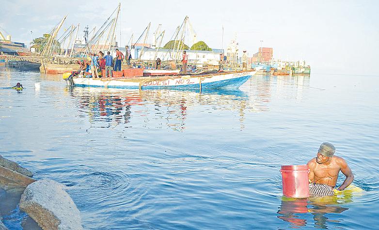 How blue economy promotes sustainable use of marine resources - Tanzania