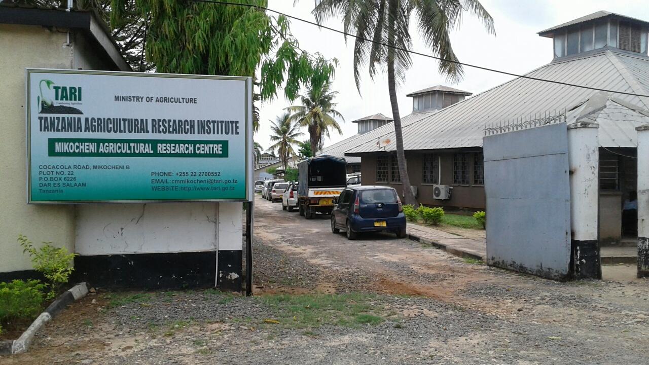TARI asks for investment in sweet potatoes value addition industries ...