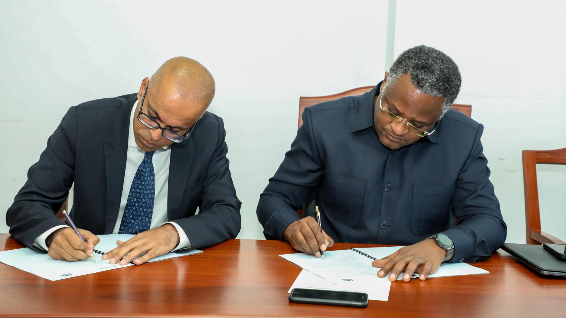 TZ, UK’s Extensia to promote national fibre optic cable - Tanzania