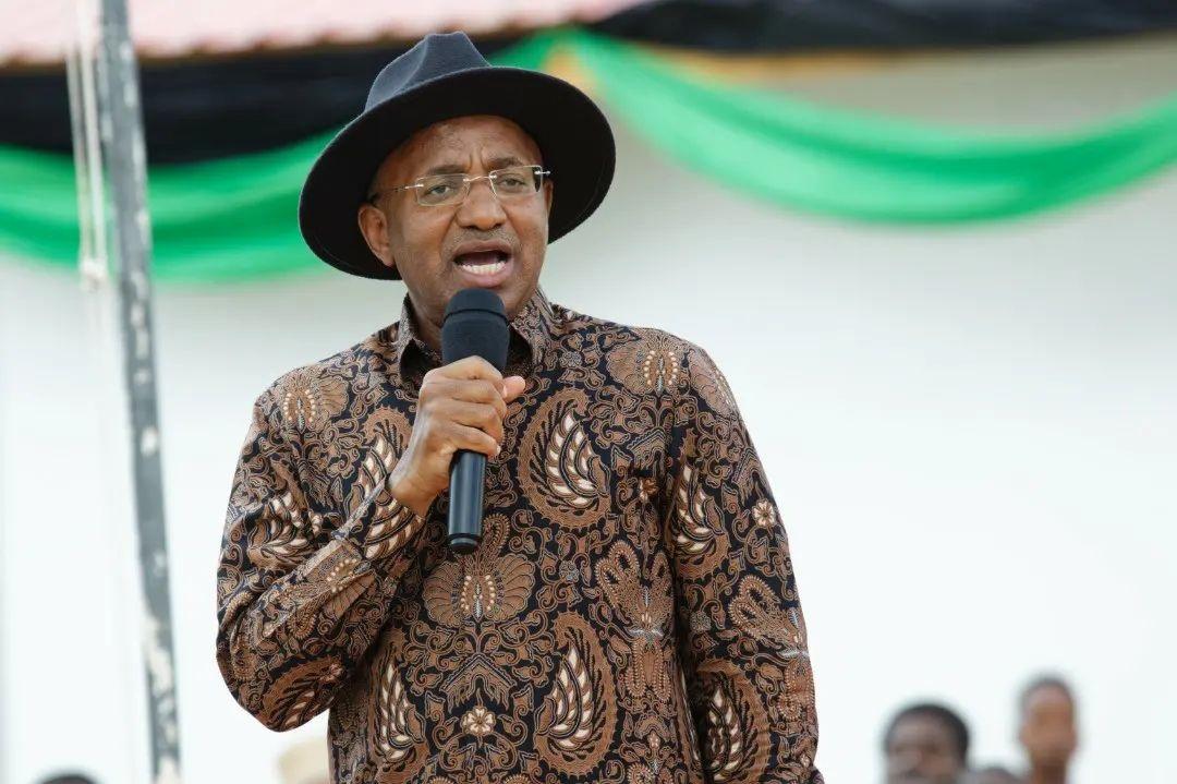 Mwinyi calls for Africa’s creativity and innovation - Tanzania