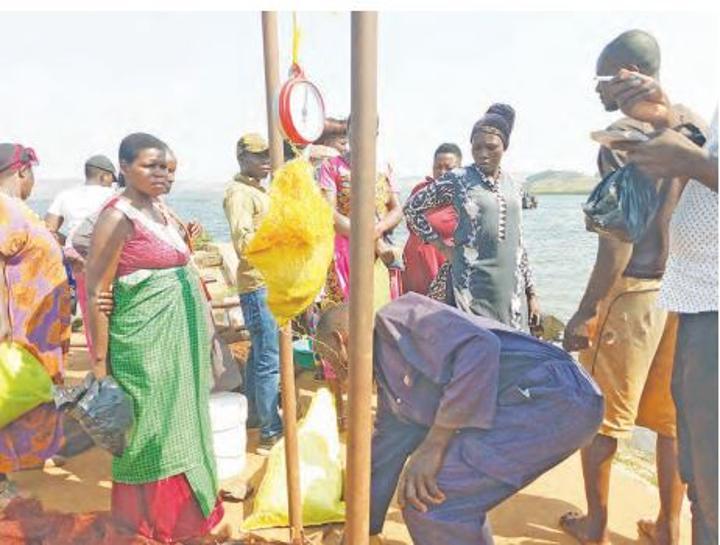 Fish Feed Education Vital In Fish Production Tanzania Fish Feed Education Vital In Fish Production Tanzania