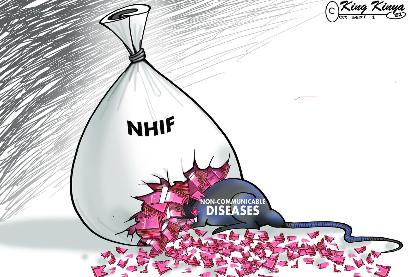 Burden of NCDs and the adverse impact on health and economy - Tanzania