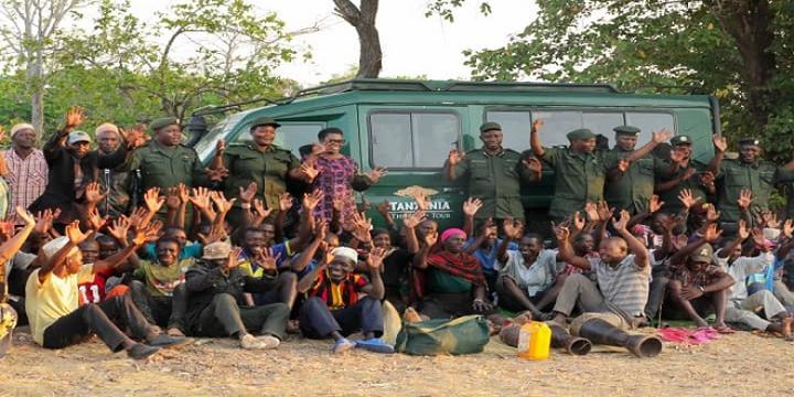 Cultural tourism to promote Nyerere National Park, says TANAPA - Tanzania
