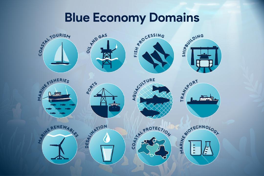 Experts: Blue economy is where Zanzibar, Egypt’s future lies - Tanzania