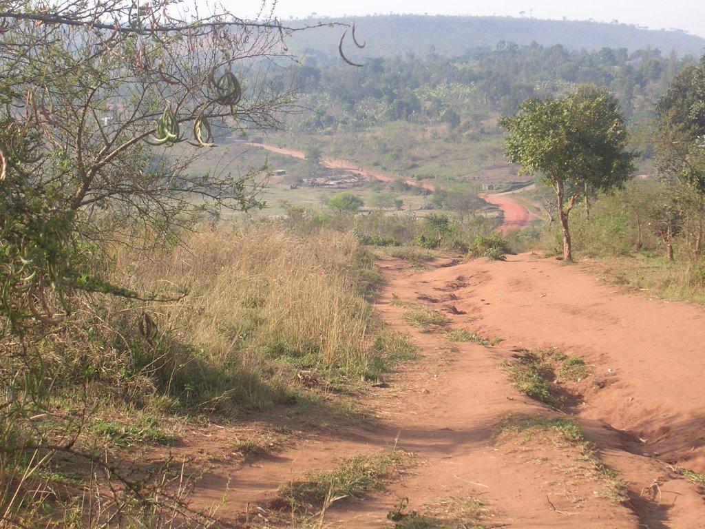 Kagera allocates land, buildings for academic infrastructures - Tanzania