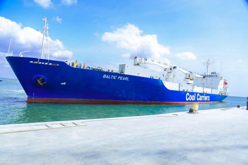 Milestone as mega ship docks at Tanga Port - Tanzania