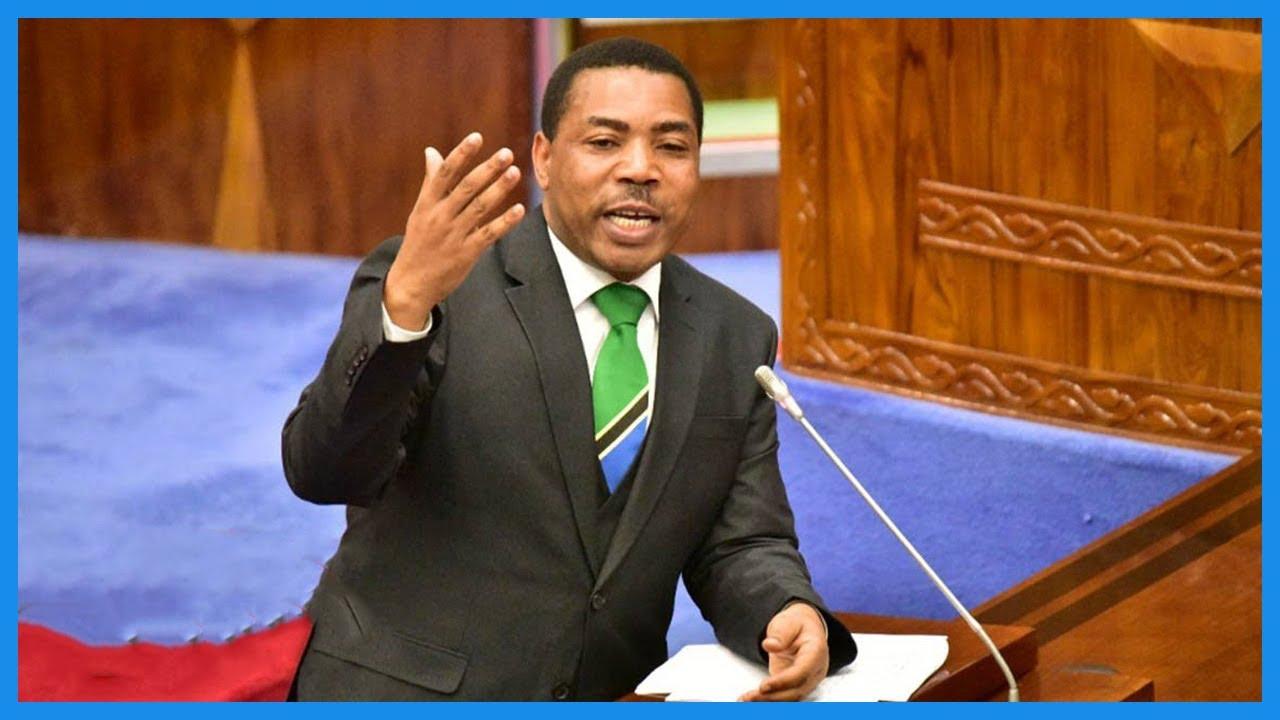 TANGA, TWIGA CEMENT MERGER: Why govt okays merge - Tanzania