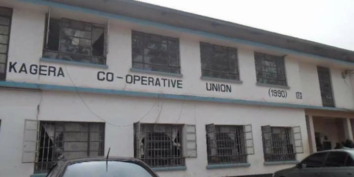 KCU to distribute computers, digital scales to farmers - Tanzania