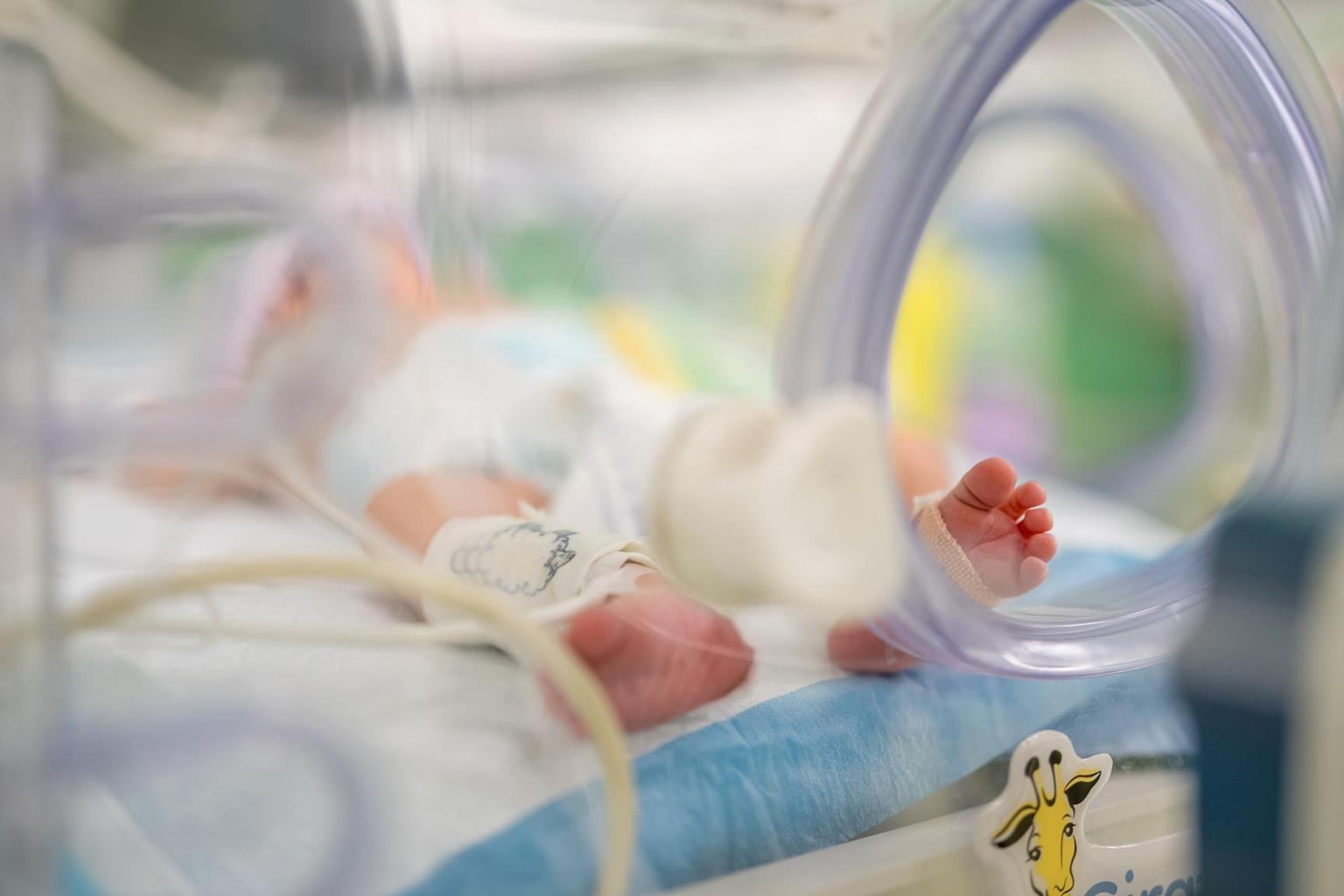 UTI diseases mentioned among sources of premature baby deliverance ...
