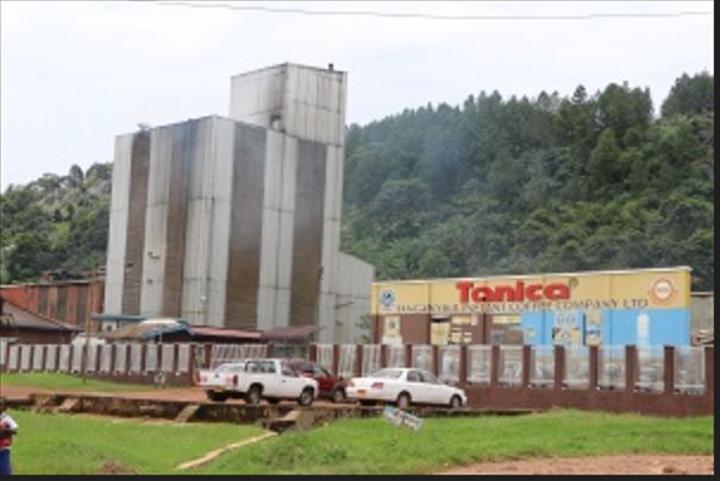 Kagera hails govt measures to rescue TANICA - Tanzania