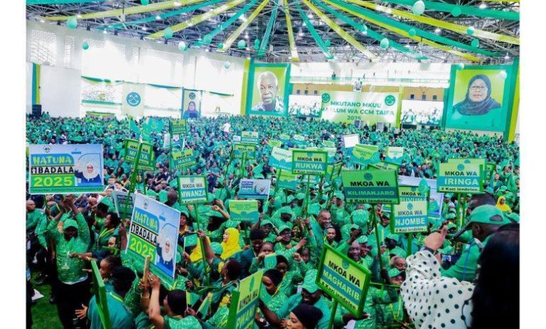 CCM 2025 manifesto sets economic vision to 2030 - Tanzania