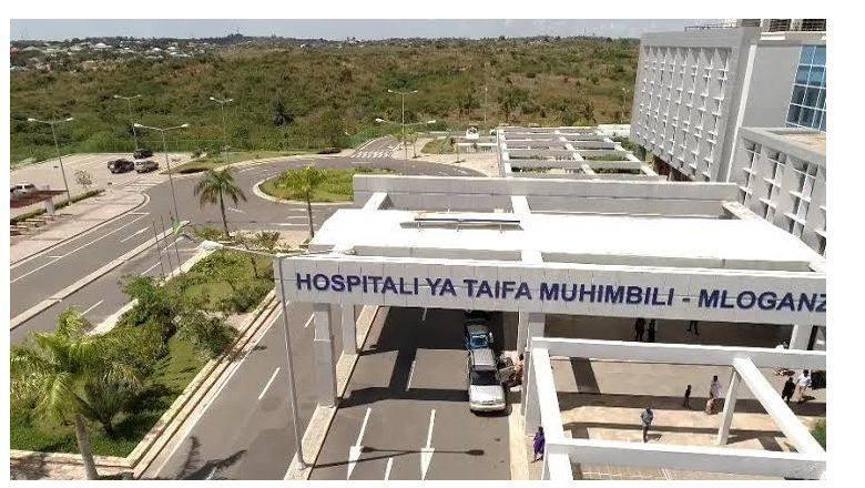 Tanzania’s hospital capacity records 47pc increase - Tanzania