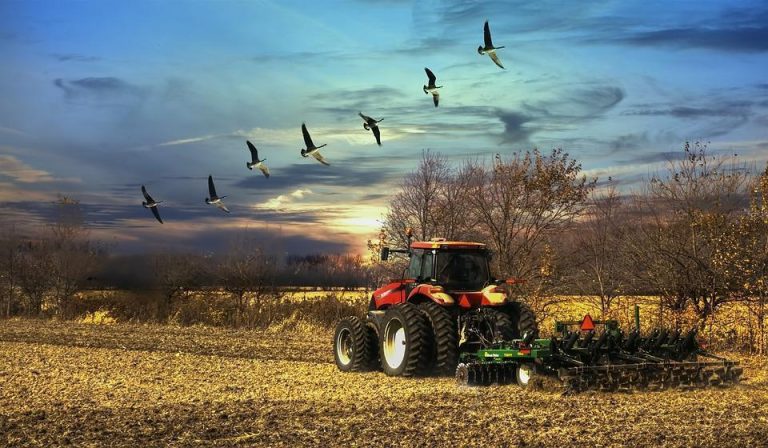 Tanzania Launches E-Kilimo to Transform Agriculture - Tanzania