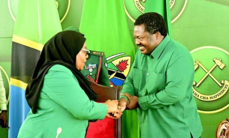 Samia elevates Tanzania’s stature -Nchimbi - Tanzania