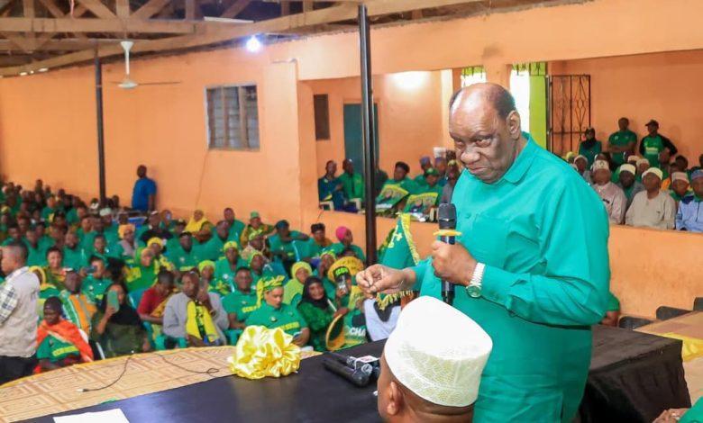 Wassira Warns Against Secret Campaigns for Mayor - Tanzania