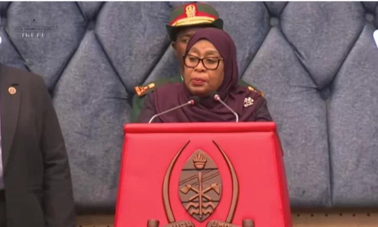 Samia’s speech earns kudos - Tanzania