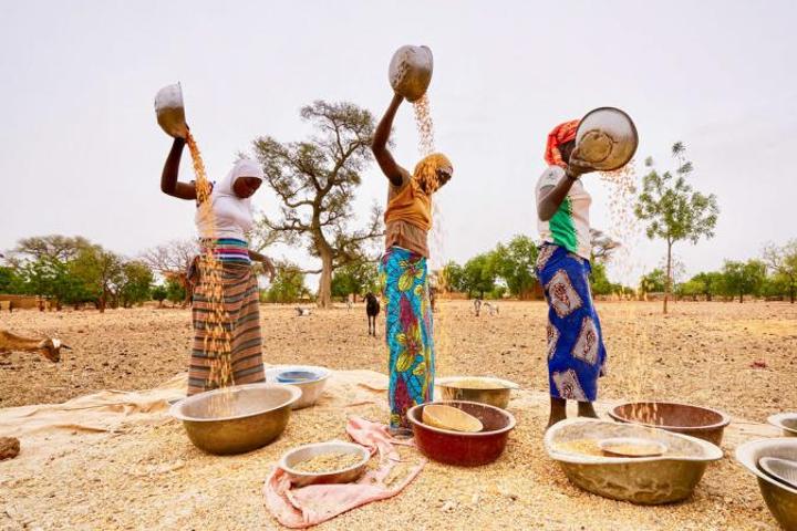 Risque de famine dans le Sahel : Le Mali, le Burkina Faso, le Niger et ...