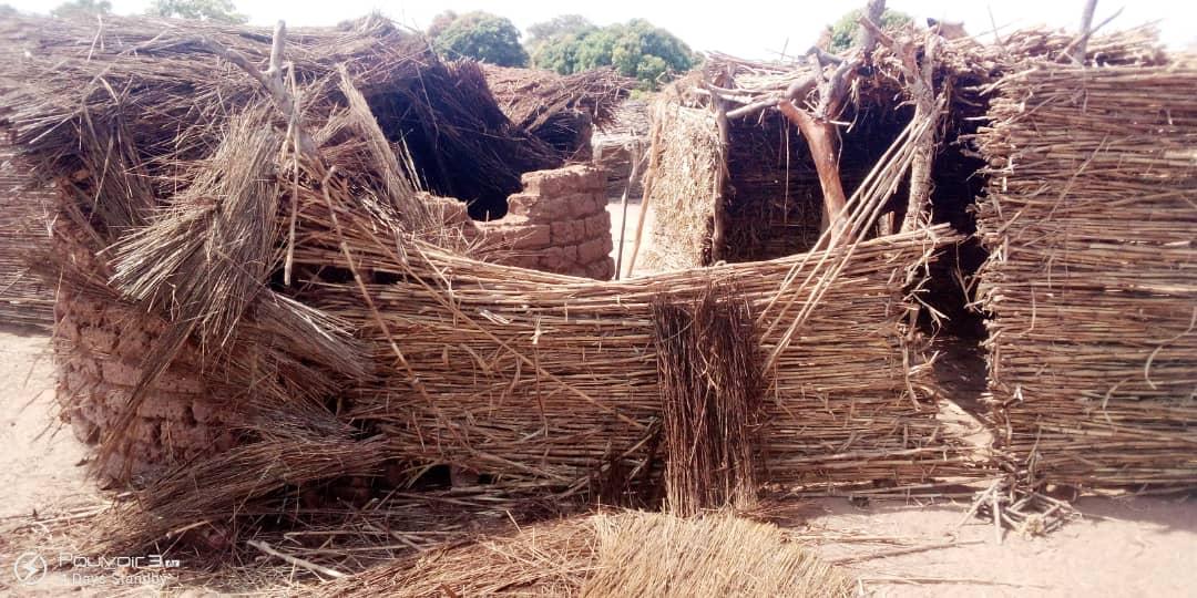 les éléphants envahissent la sous-préfecture de Dogou, la population ...