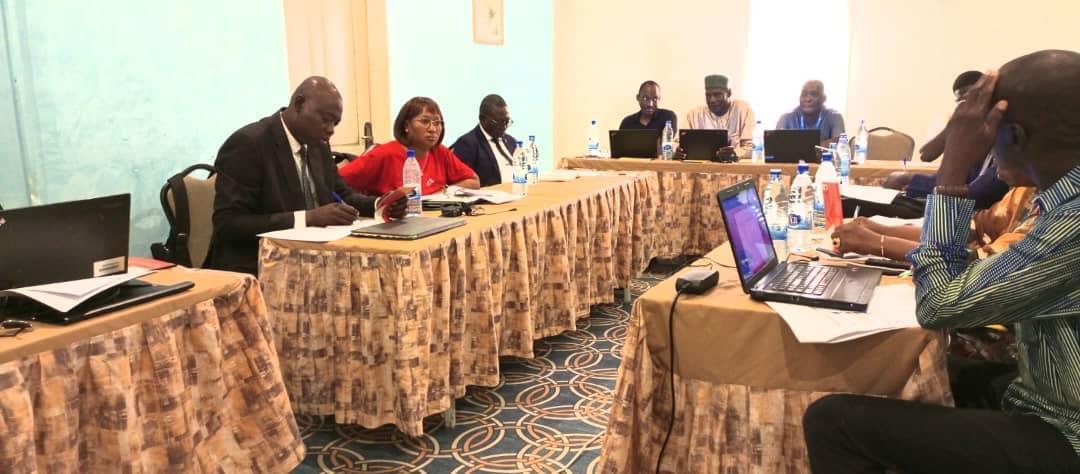 Atelier de renforcement des capacités pour la lutte contre l'hépatite E à l'Est - tchad