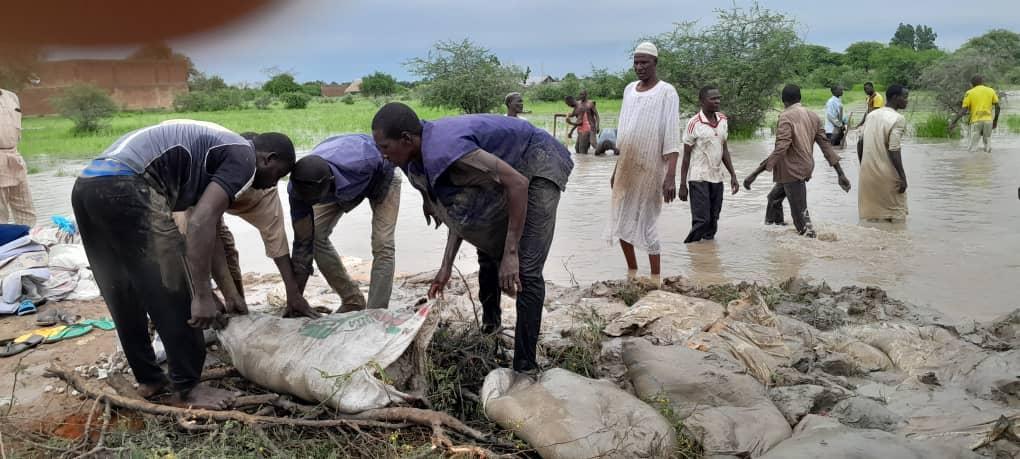 Les habitants de Gaoui réaménagent leur route principale - tchad