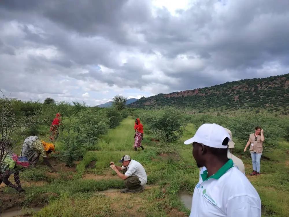 Andrew Millison : Du Pacifique au Sahel, un expert en permaculture ...