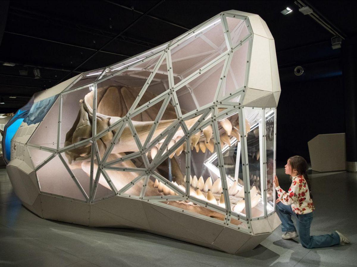 Partez sur les traces de géants méconnus au Muséum d'histoire naturelle ...