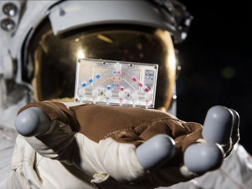 Astronautes d'Artemis II Voyageront Avec Clones Cellulaires - Togo