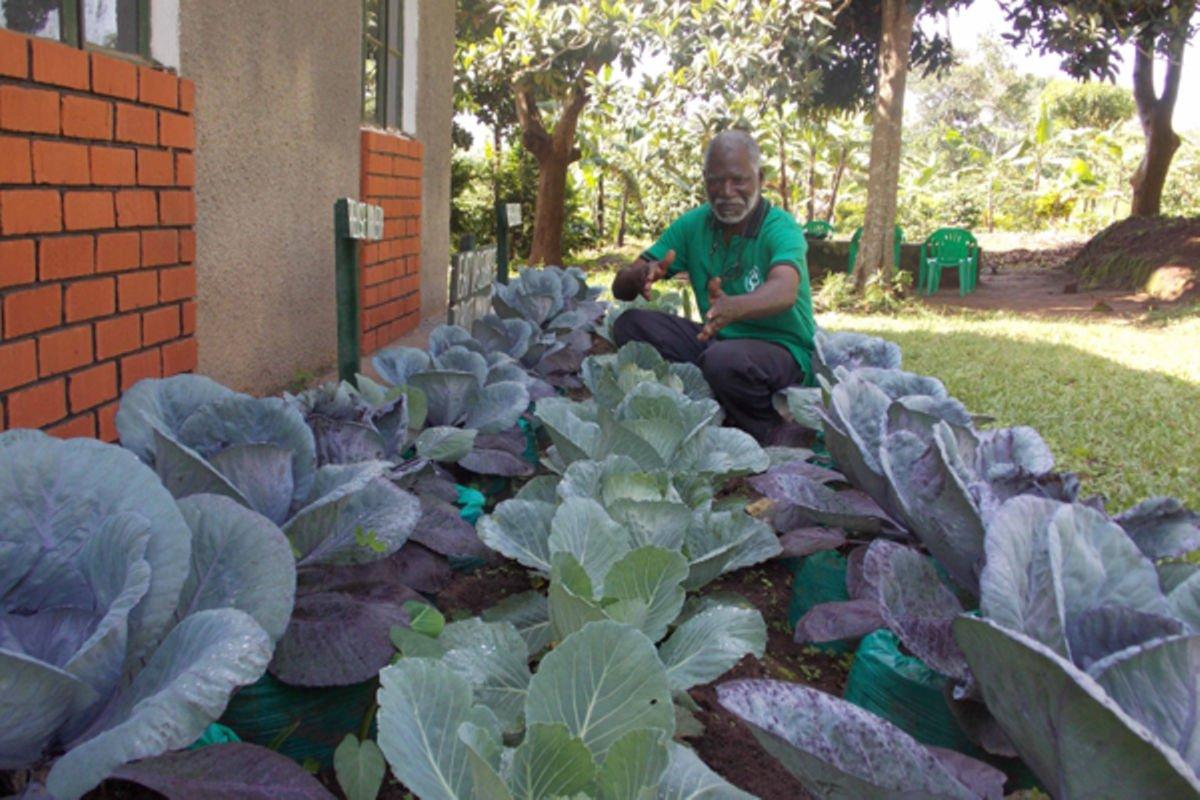 Ssentongo has mastered the art of minimising expenses - Uganda