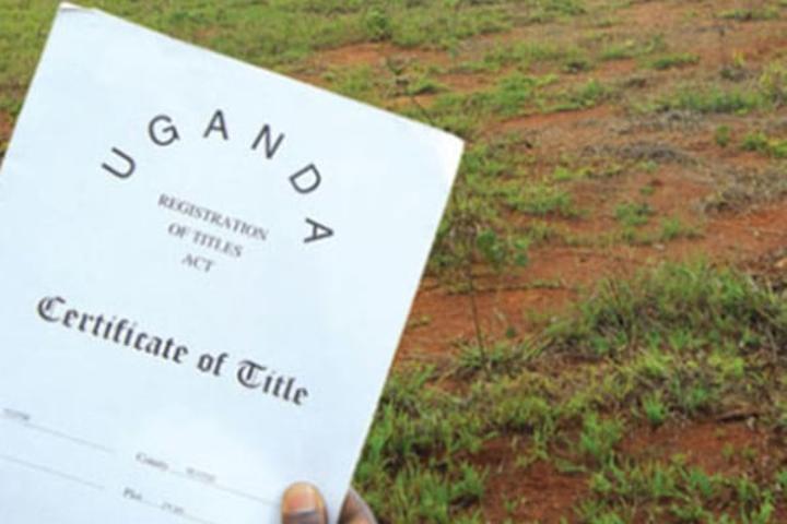 Families, school fight over land - Uganda