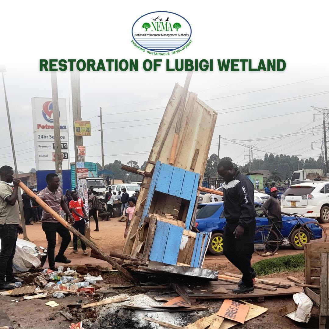 𝐑𝐄𝐌𝐎𝐕𝐀𝐋 𝐎𝐅 𝐄𝐍𝐂𝐑𝐎𝐀𝐂𝐇𝐄𝐑𝐒 𝐀𝐍𝐃 𝐑𝐄𝐒𝐓𝐎𝐑𝐀𝐓𝐈𝐎𝐍 𝐎𝐅 𝐋𝐔𝐁𝐈𝐆𝐈 𝐖𝐄𝐓𝐋𝐀𝐍𝐃 𝐀𝐓 𝐁𝐔𝐒𝐄𝐆𝐀 ...