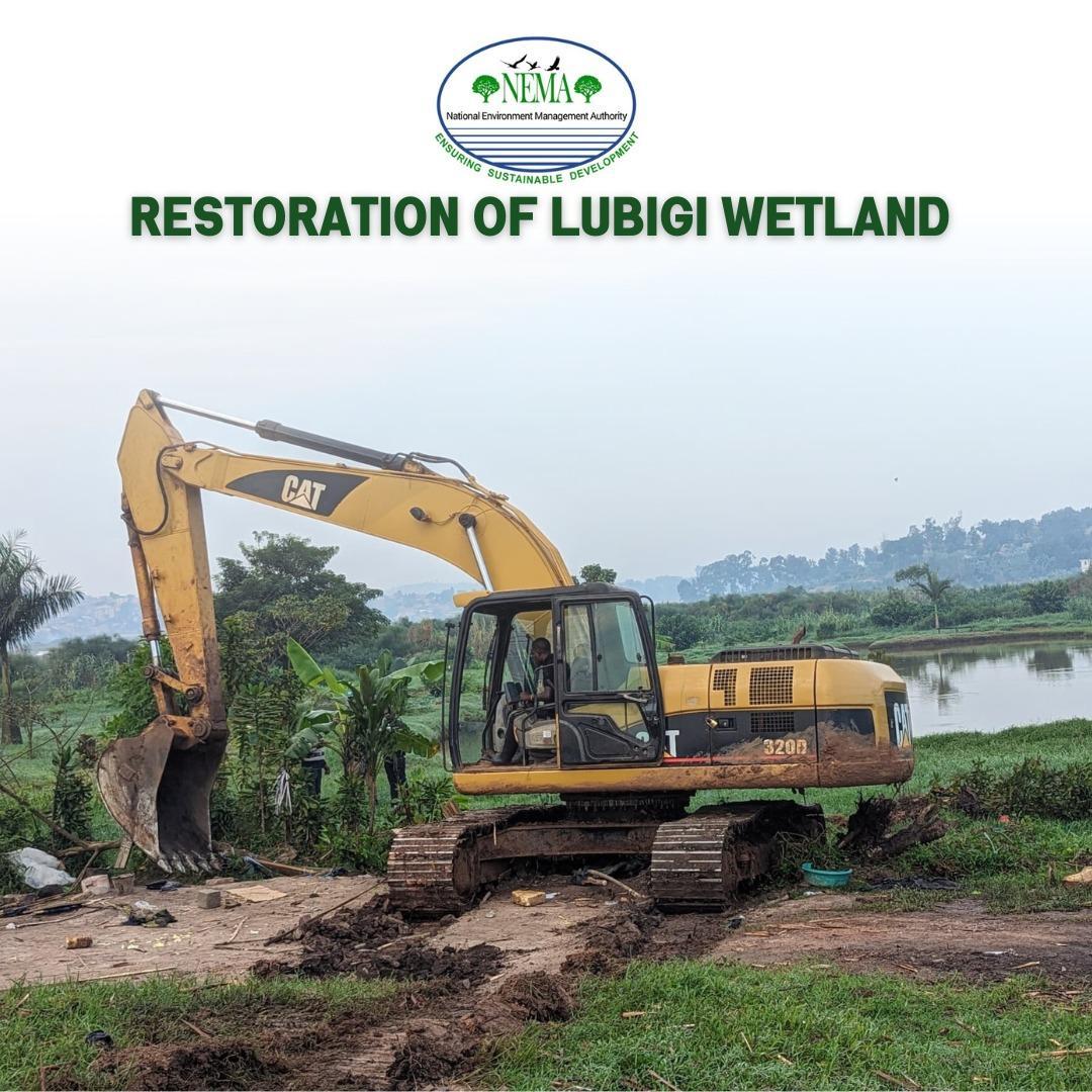 𝐑𝐄𝐌𝐎𝐕𝐀𝐋 𝐎𝐅 𝐄𝐍𝐂𝐑𝐎𝐀𝐂𝐇𝐄𝐑𝐒 𝐀𝐍𝐃 𝐑𝐄𝐒𝐓𝐎𝐑𝐀𝐓𝐈𝐎𝐍 𝐎𝐅 𝐋𝐔𝐁𝐈𝐆𝐈 𝐖𝐄𝐓𝐋𝐀𝐍𝐃 𝐀𝐓 𝐁𝐔𝐒𝐄𝐆𝐀 ...