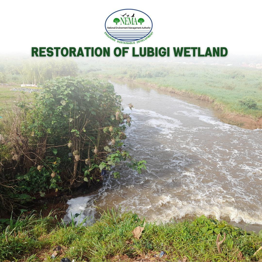 𝐑𝐄𝐌𝐎𝐕𝐀𝐋 𝐎𝐅 𝐄𝐍𝐂𝐑𝐎𝐀𝐂𝐇𝐄𝐑𝐒 𝐀𝐍𝐃 𝐑𝐄𝐒𝐓𝐎𝐑𝐀𝐓𝐈𝐎𝐍 𝐎𝐅 𝐋𝐔𝐁𝐈𝐆𝐈 𝐖𝐄𝐓𝐋𝐀𝐍𝐃 𝐀𝐓 𝐁𝐔𝐒𝐄𝐆𝐀 ...