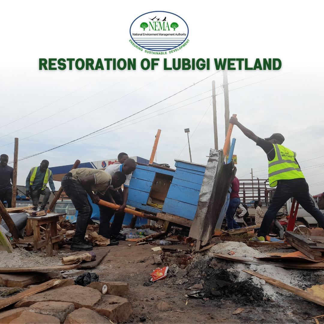 𝐑𝐄𝐌𝐎𝐕𝐀𝐋 𝐎𝐅 𝐄𝐍𝐂𝐑𝐎𝐀𝐂𝐇𝐄𝐑𝐒 𝐀𝐍𝐃 𝐑𝐄𝐒𝐓𝐎𝐑𝐀𝐓𝐈𝐎𝐍 𝐎𝐅 𝐋𝐔𝐁𝐈𝐆𝐈 𝐖𝐄𝐓𝐋𝐀𝐍𝐃 𝐀𝐓 𝐁𝐔𝐒𝐄𝐆𝐀 ...