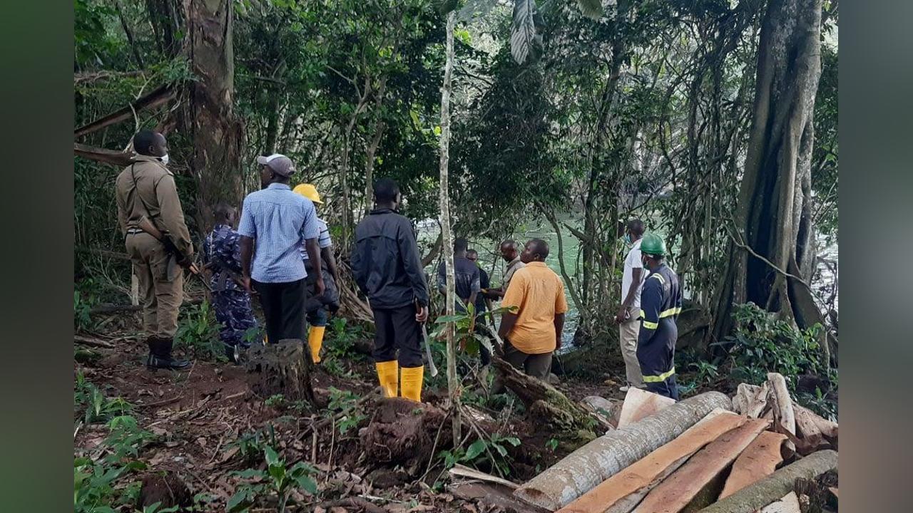 Six NFA Staff Arrested over Illegal Logging in Kalangala Forest - Uganda