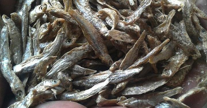 Lambu Landing Site Allowed Two Days of Mukene Fishing to Raise School ...