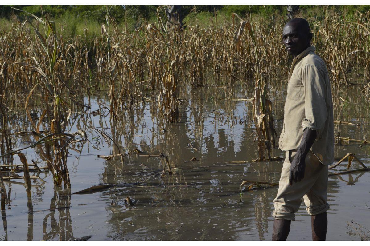 Yumbe Farmers Suffer Major Crop Losses Due to Heavy Rains - Uganda