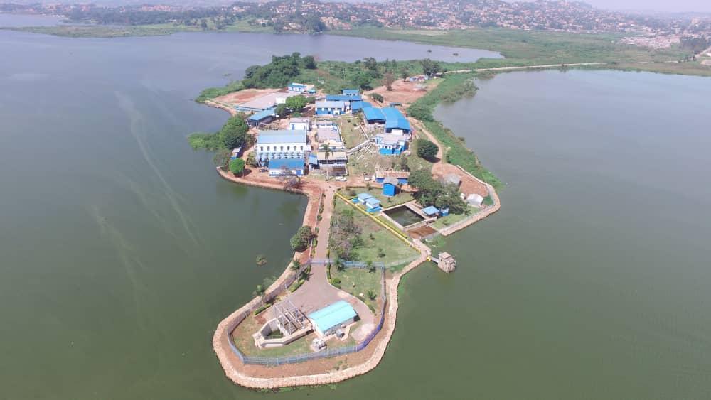 How Prompt Bill Payments Drive Nwsc’S Service Delivery - Uganda