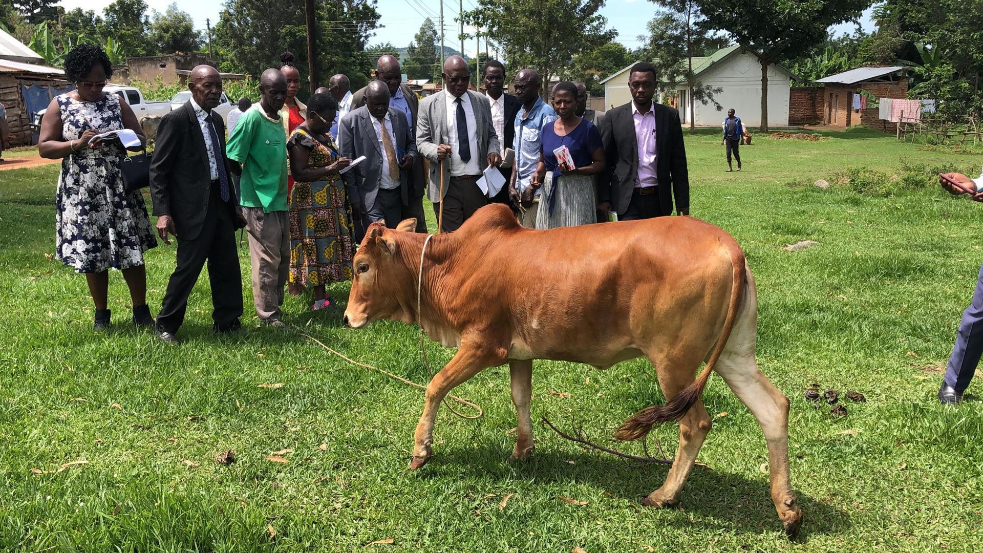 Strategy Flaws Undermine Parish Development Model Success - Uganda