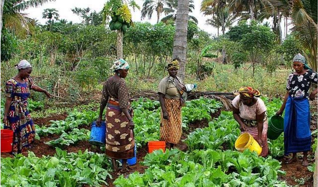 Agric, Tourism and Tech Key Features in 2025/26 Budget - Uganda